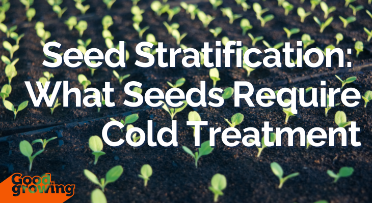 Seed Stratification Chart